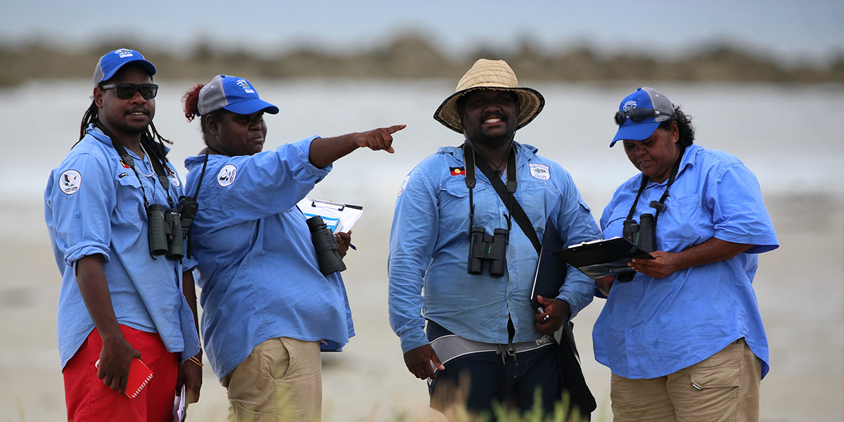 Welcome to Lama Lama Country