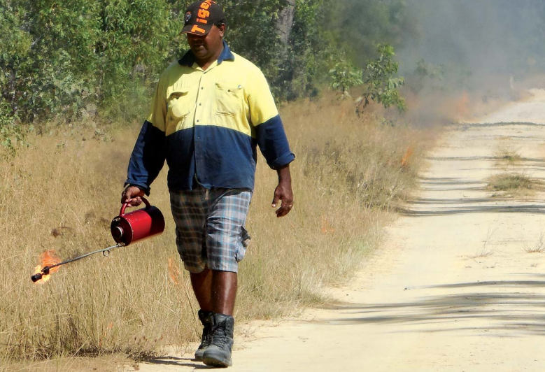 News – Welcome to Lama Lama Country